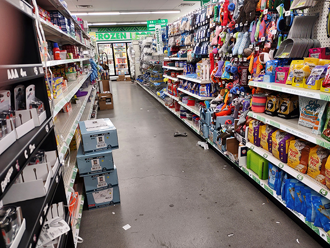Aisle after aisle of possibility! Where else can you find pet supplies, household essentials, and enough colorful toys to distract both kids and adults?