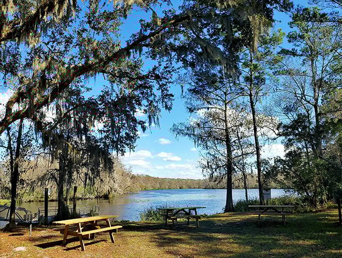 Picnic tables with million-dollar views await. Lunch tastes better when served with a side of Spanish moss and sparkling water.
