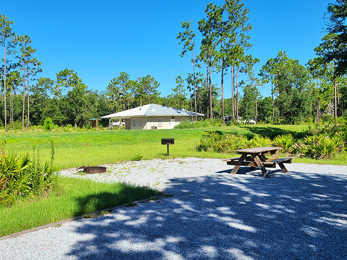 A picnic spot with a view that beats any five-star restaurant's ambiance. No reservations required, just bring your own culinary creations.