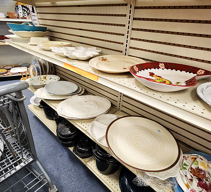 Plate paradise! From everyday dining to special occasion serving platters, these dishes have stories to tell and meals yet to serve.