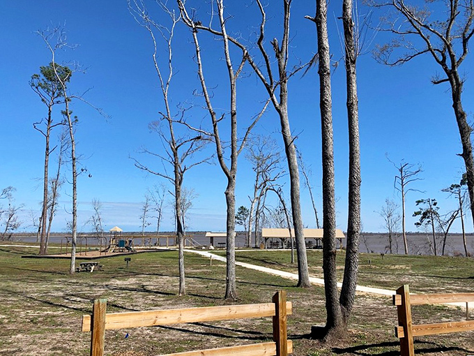 Morning coffee tastes better from a screened porch where the entertainment is provided by Mother Nature's own reality show. 