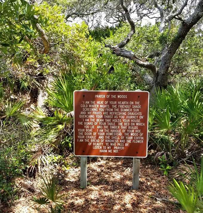 "Prayer of the Woods" sign&mdash;where Mother Nature reminds you she was the original poet, long before Instagram captions were a thing.