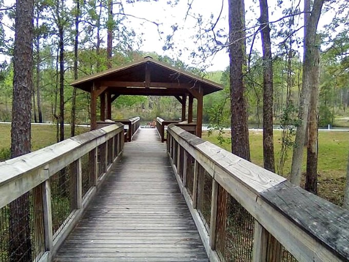 A covered boardwalk bridge invites contemplation over still waters. Here's where you'll realize Florida has been hiding its non-beach beauty all along.
