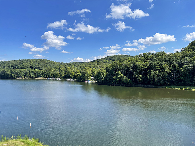 Pleasant Hill Lake shimmers like a mirror beneath the summer sky. The perfect backdrop for afternoon adventures or simply watching the world drift by.