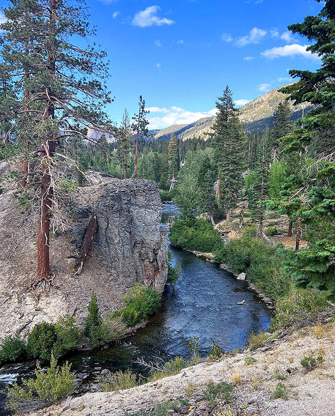 Sierra stream dreams: Crystal clear waters carve their ancient path through pine-scented forests, creating nature's perfect meditation soundtrack.