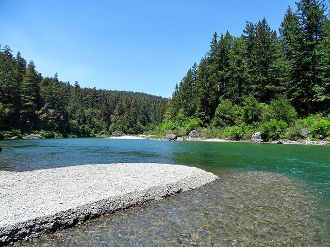 Redwood Creek flows with the confidence of something that's been carving its path through this valley since before humans invented the wheel.