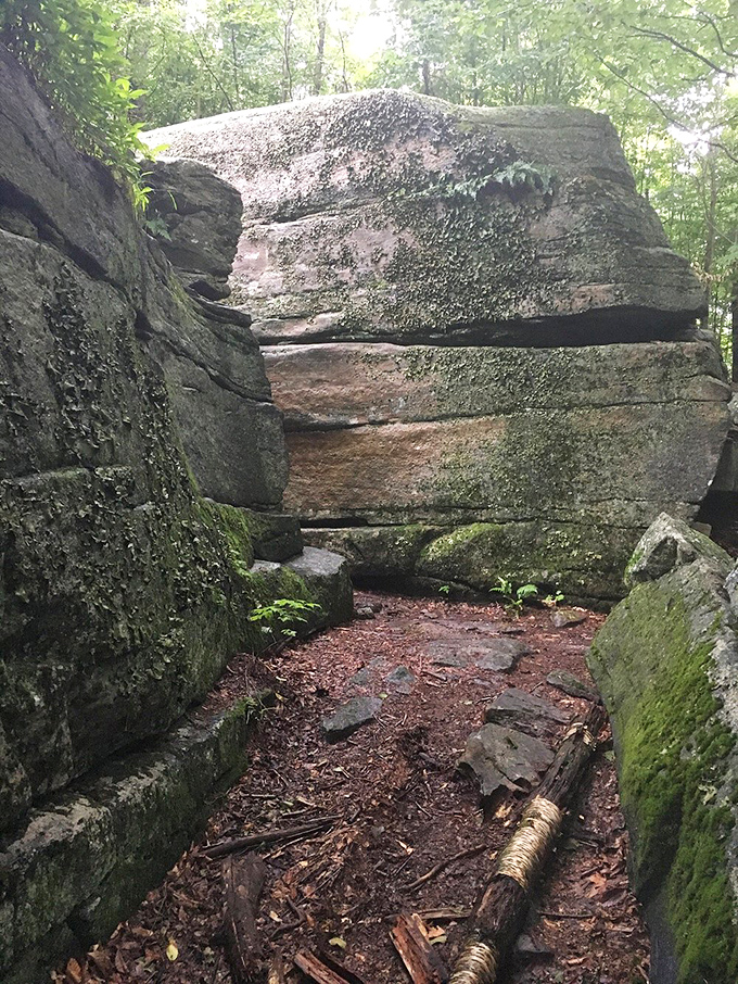 Nature's version of modern art: massive boulders creating a corridor that feels like walking through Earth's own sculpture gallery.