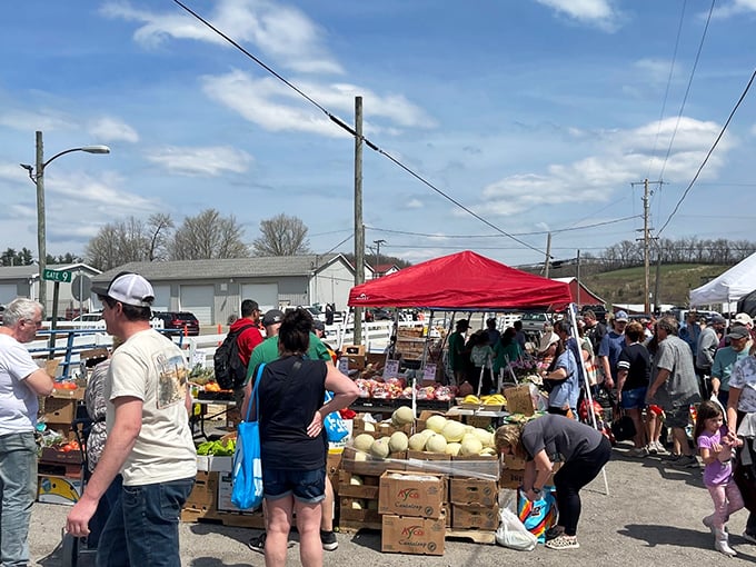 Seasoned shoppers navigate the outdoor stalls with the precision of bargain-hunting ninjas. Those blue tote bags aren't just accessories&mdash;they're treasure chests in the making.