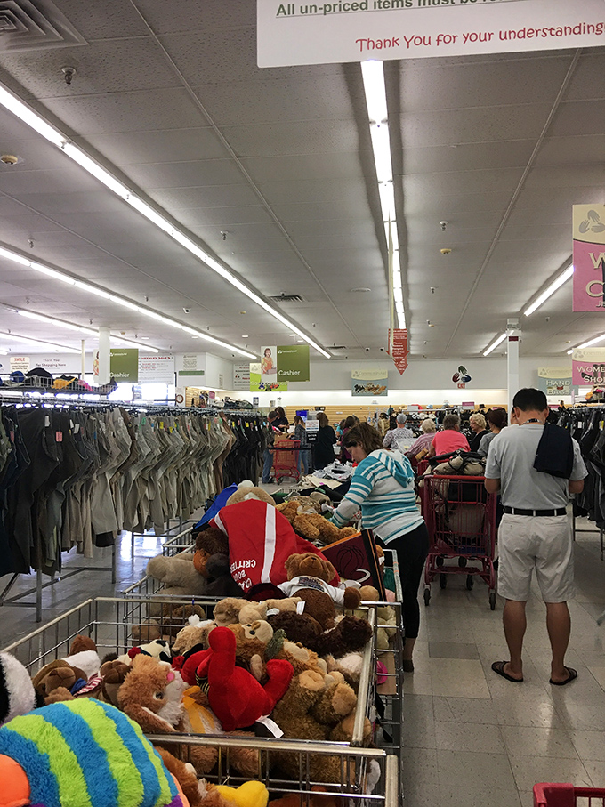 Teddy bears galore! Like a stuffed animal reunion where every fuzzy friend is hoping for a second chance at being loved.