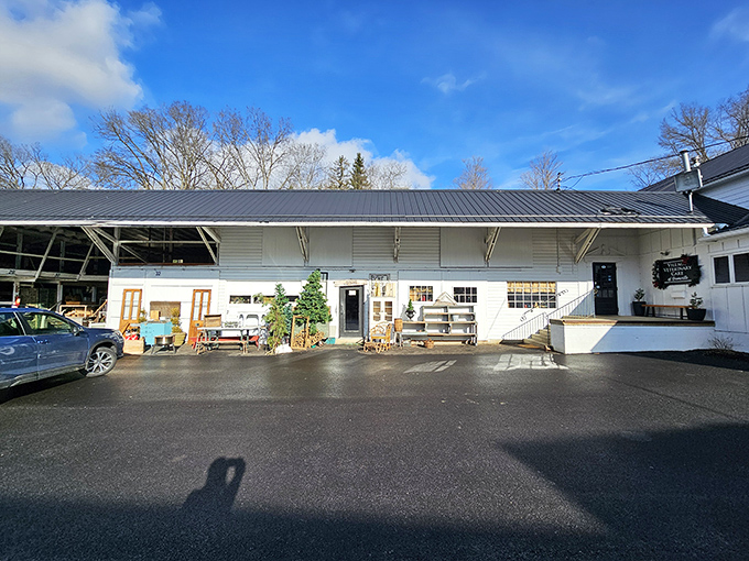 Vintage treasures await discovery at this unassuming shop, where yesterday's forgotten items become tomorrow's conversation pieces.