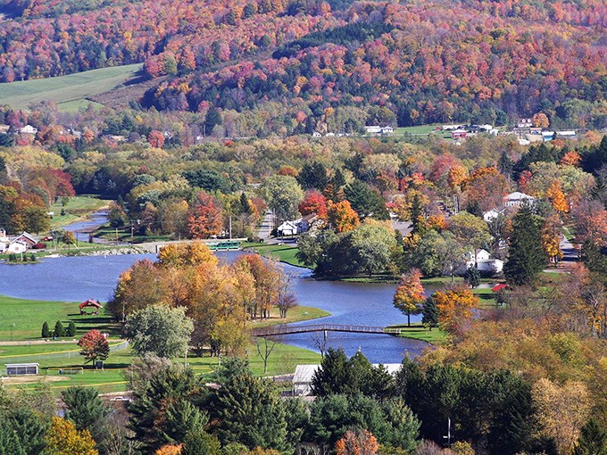 Fall paints Bradford's landscape with nature's most extravagant palette, turning ordinary reservoirs into mirror-perfect reflections of autumn splendor.