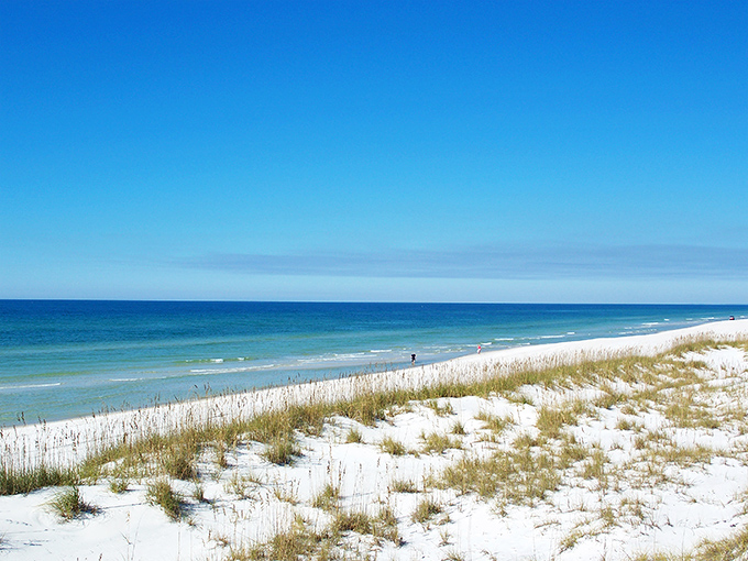 Pristine white sands meet the emerald Gulf waters at St. Joseph Peninsula State Park. This is the beach of your childhood memories, unspoiled by crowds.