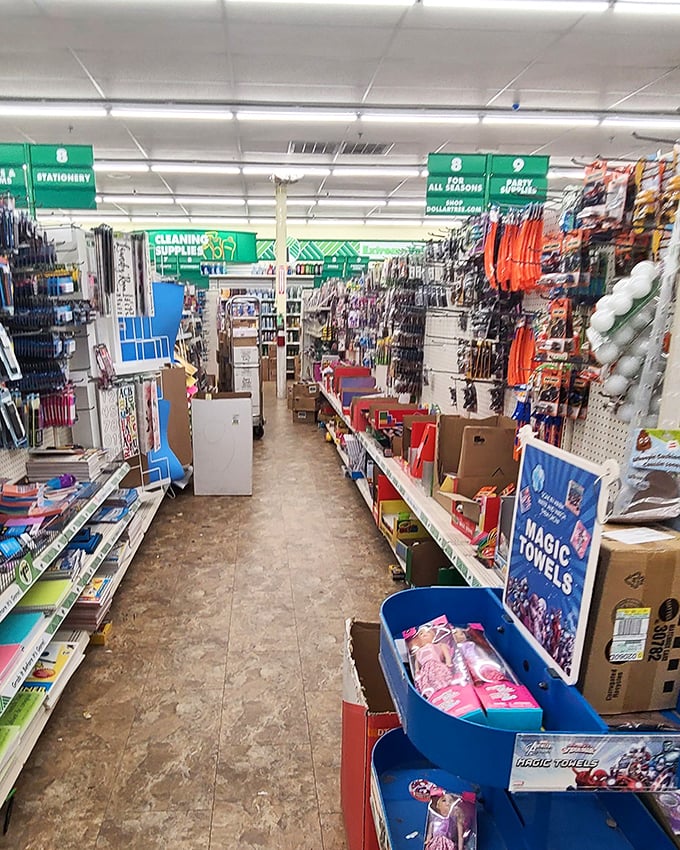 The stationery section: where "I'll just grab one notebook" turns into "I need these 17 items immediately." Resistance is futile.