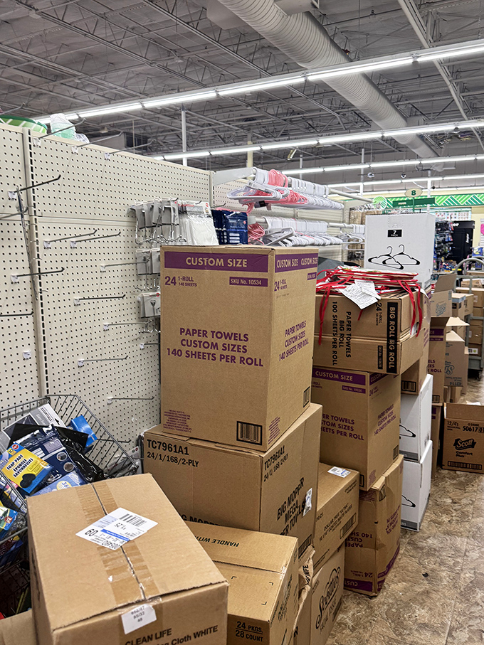 Boxes waiting to reveal their treasures, like an archaeological dig where every artifact costs exactly one dollar and doesn't require special handling gloves.