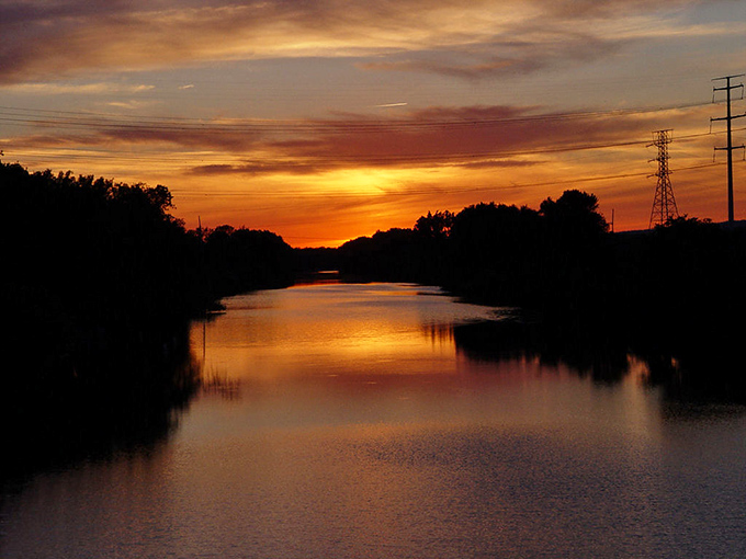 White tables scattered beneath autumn trees create impromptu gathering spaces where strangers become neighbors over coffee and the shared language of changing seasons. 