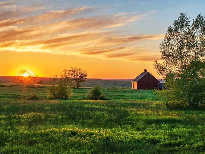 Countryside sunsets come standard with Claremont living. This golden hour view costs nothing but delivers the kind of peace wealthy urbanites pay therapists to achieve.