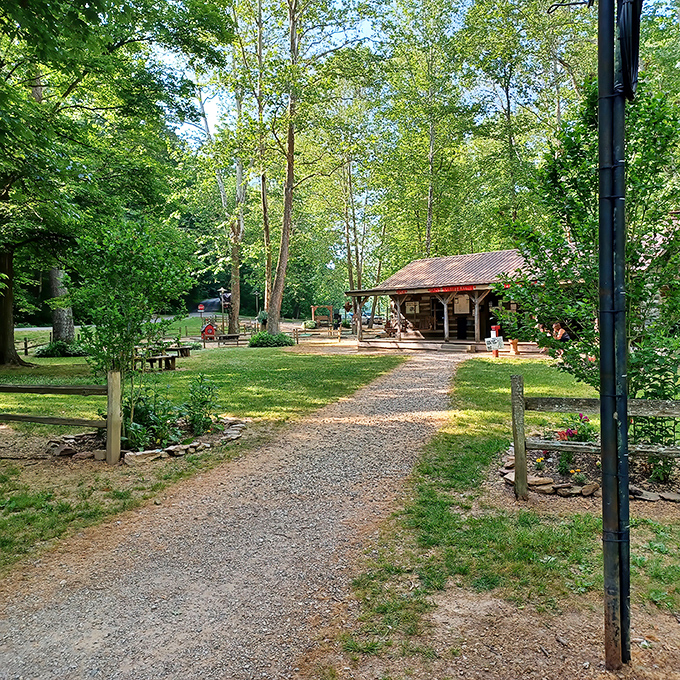 The kind of campground where morning coffee tastes inexplicably better and "roughing it" still allows for a good night's sleep.