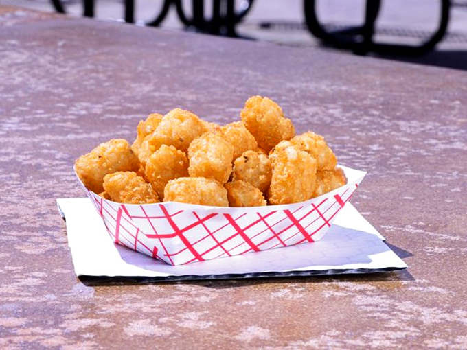 Golden-brown tater tots nestled in their paper basket like precious nuggets. Crispy outside, fluffy inside—the way comfort food was meant to be.