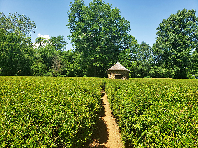 Nature's perfect maze—the Harmonist Labyrinth invites visitors to get purposefully lost while finding unexpected clarity. No GPS required or desired.