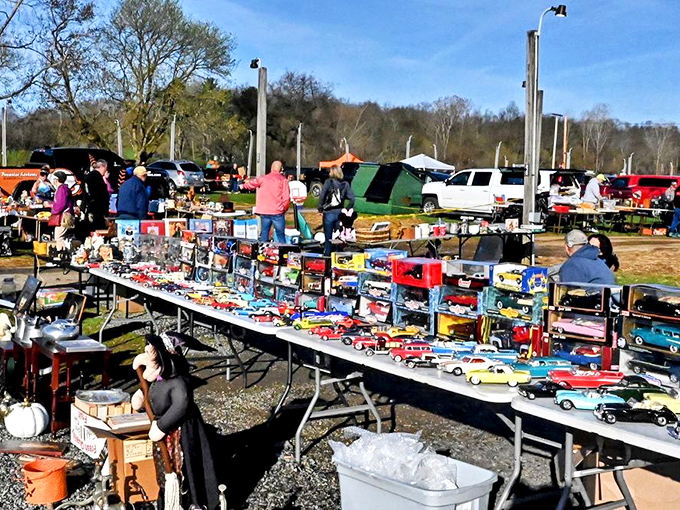 Miniature automotive dreams lined up like a traffic jam of nostalgia. Each tiny car holds a giant memory for collectors.