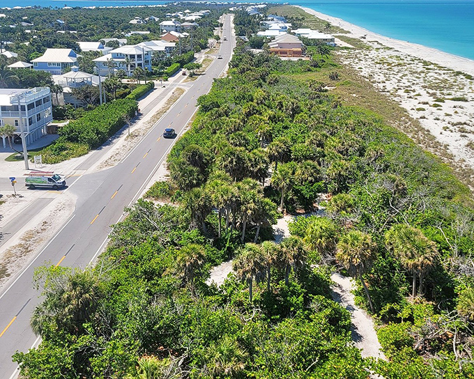 Island life from a bird's perspective. The road divides civilization from pristine beaches, reminding us why barrier islands are Florida's greatest natural treasures.