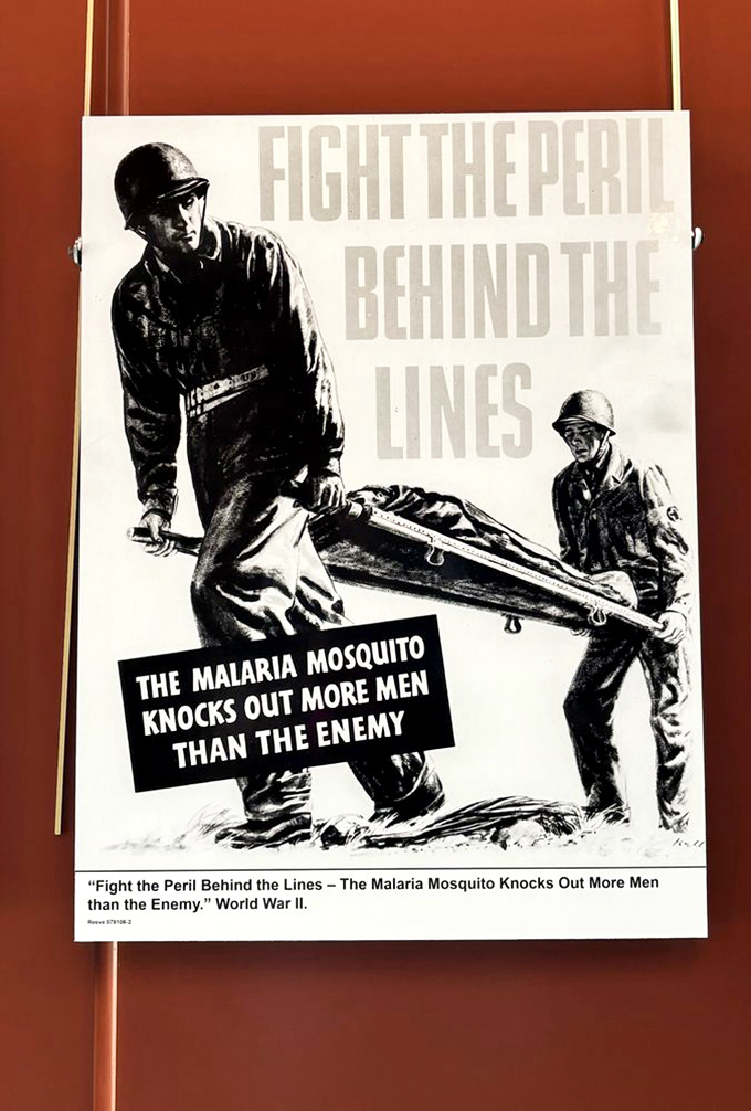 When mosquitoes were more deadly than bullets &ndash; this vintage wartime poster highlights how medicine's battlefield wasn't just against enemy forces but invisible killers too.