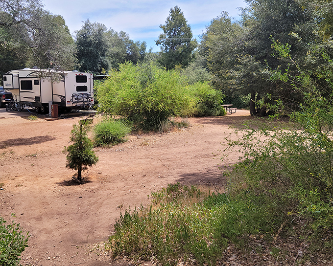 William Heise County Park provides peaceful camping spots where you can disconnect from technology and reconnect with nature just minutes from town.