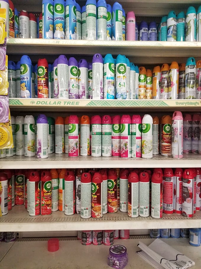 Air fresheners in every scent imaginable – from "Spring Meadow" to whatever "Hawaiian Breeze" actually smells like in real life.