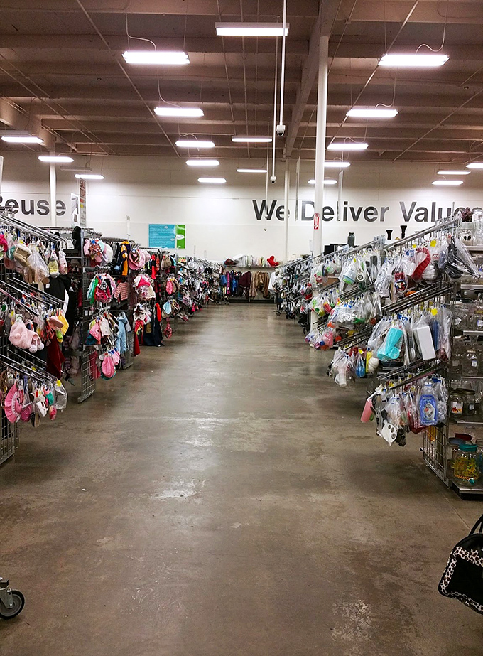 Endless rows stretch into the distance, creating shopping lanes that rival any major department store's ambitions.