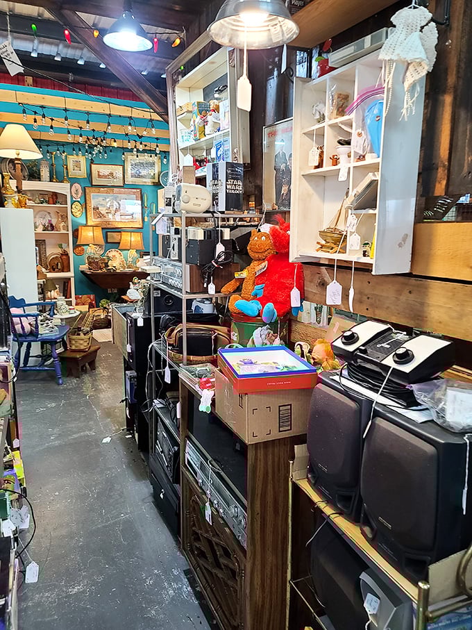 Where vintage electronics go to find second acts. That orange plush creature seems equally surprised to be there.