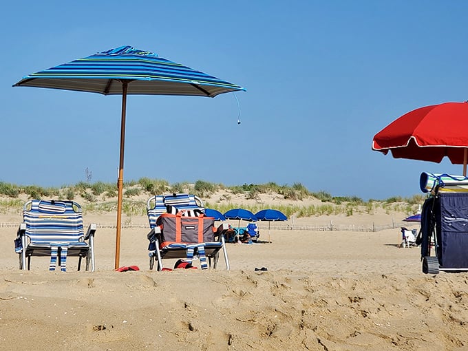 Beach real estate, Delaware-style. No mortgage required—just a colorful umbrella and the willingness to occasionally chase it down the beach.