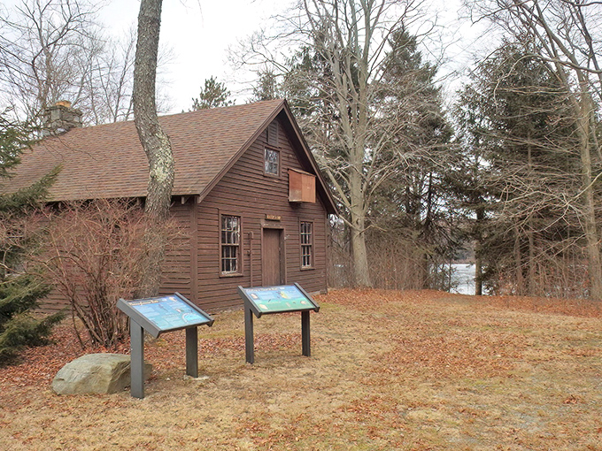 This rustic cabin whispers stories of simpler times. It's like stepping into a Norman Rockwell painting where WiFi doesn't exist—and you won't miss it.