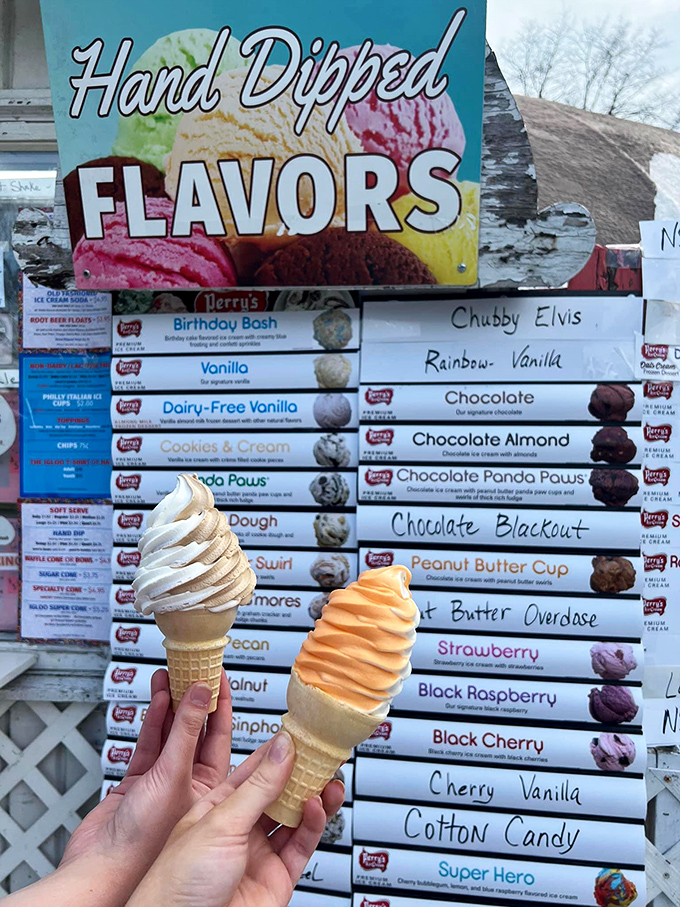 Ice cream innovation at its finest. One scoop looks like a science experiment gone deliciously right, while the other offers comfort in classic form.