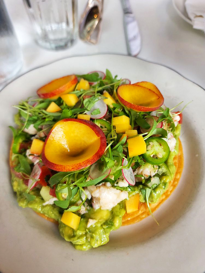 Bright, fresh ceviche that tastes like sunshine decided to take a permanent vacation on your plate.