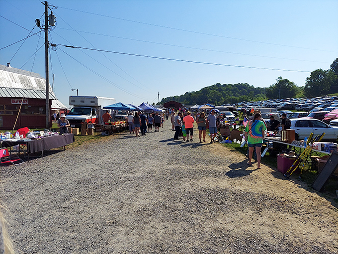 The thrill of the hunt in action! Market-goers scan tables of potential treasures, each hoping to discover that perfect something they didn't know they needed.
