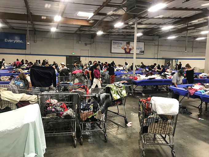 Serious shoppers with loaded carts navigate the blue bin landscape. Notice the focused expressions &ndash; these are professionals at work in their natural habitat.