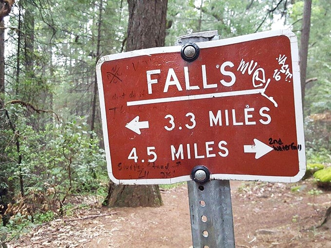 Nature's GPS system&mdash;old school style. The trail offers two options: "somewhat tired" or "really tired," both leading to the same breathtaking reward.