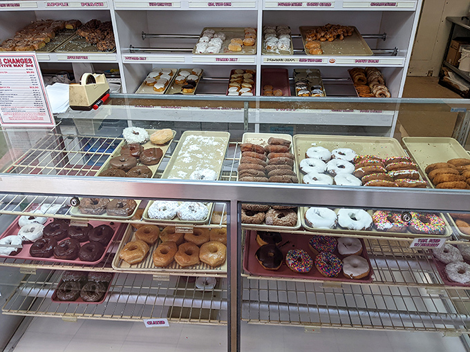 The display case&mdash;a museum of fried dough masterpieces. Each shelf offers a different path to happiness.