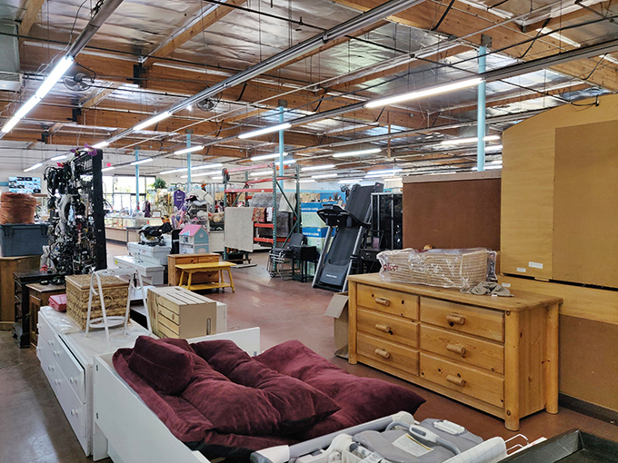 Furniture sections showcase everything from cozy recliners to exercise equipment that witnessed ambitious New Year's resolutions.