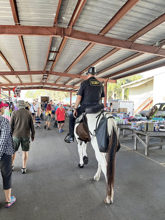 Security on horseback&mdash;because in Webster, even law enforcement has old-school flair. This cowboy keeps the peace while making a fashion statement.