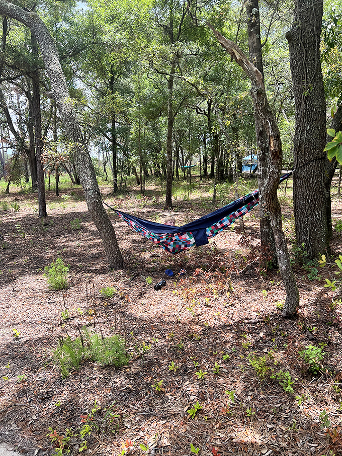The original Florida hammock &ndash; not the swampy kind, but the "afternoon nap suspended between two trees" kind. Pure bliss.