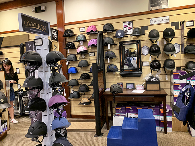 Equestrian heaven for riders and collectors alike. These helmets protected adventures that are now waiting for your next chapter.