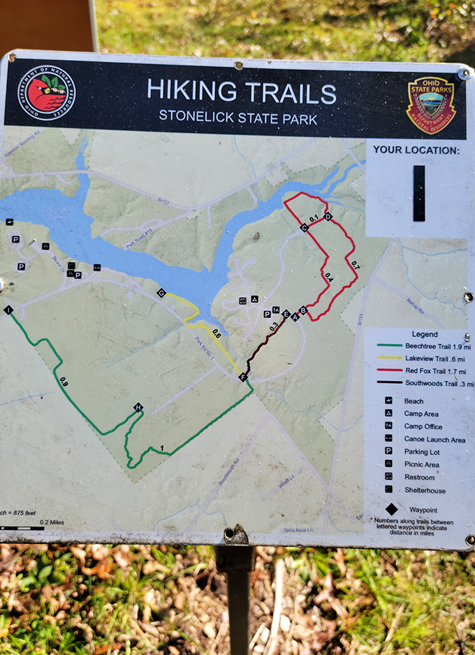 The treasure map to outdoor bliss! Stonelick's trail system offers four distinct paths to discovery, each promising its own unique brand of natural wonder.