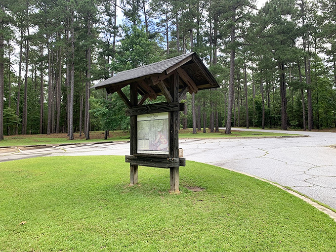 Nature's bulletin board stands sentinel among towering pines, offering trail maps and wildlife information to curious explorers before their woodland adventures.