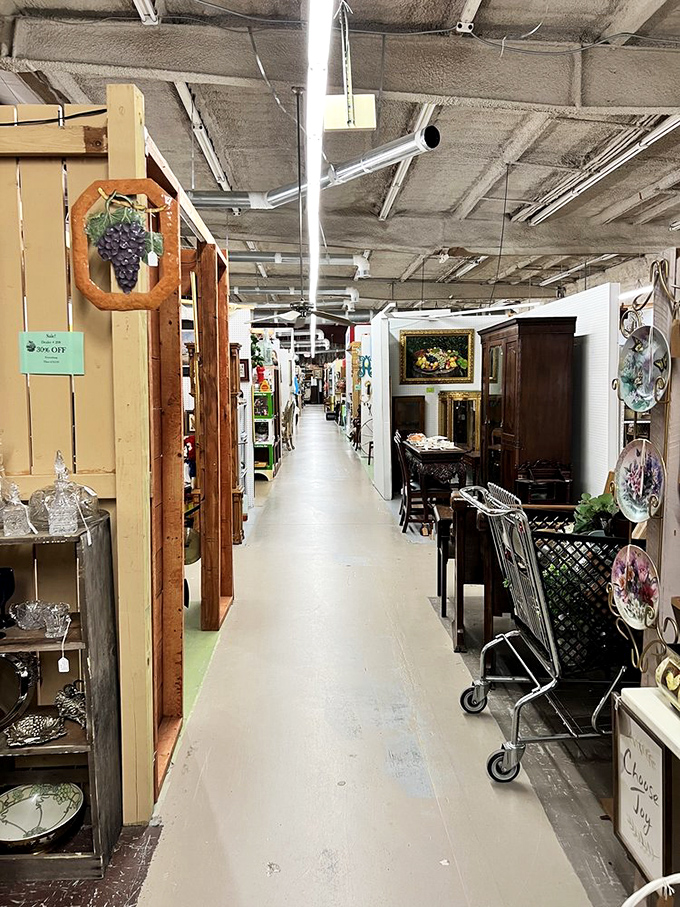 Long, inviting aisles that practically whisper "just a little further" as they lead you deeper into this wonderland of memories and possibilities.