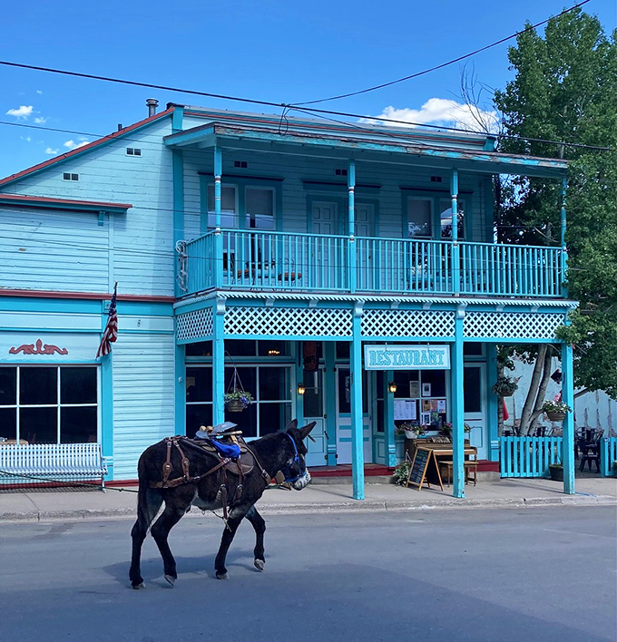 Where else but Creede can you witness actual horsepower making its way down Main Street while a turquoise restaurant beckons in the background?