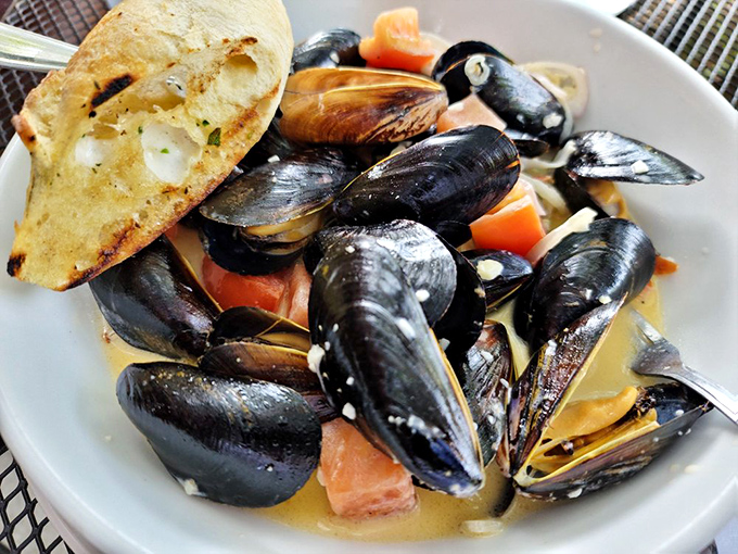 These mussels aren't just swimming in broth—they're doing the backstroke in a pool of flavor that demands to be sopped up with that bread.