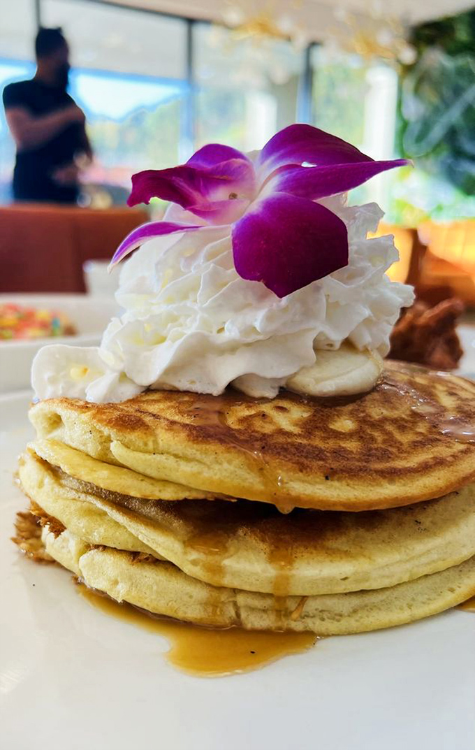 Fluffy pancakes crowned with whipped cream and orchid petals – because sometimes breakfast deserves to feel like a celebration.