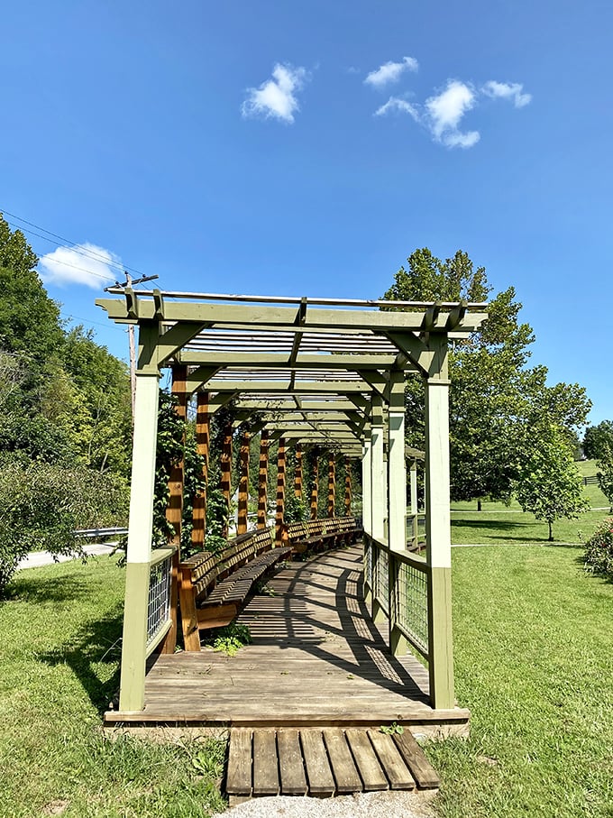 This wooden pergola pathway invites visitors to stroll beneath dappled sunlight, a peaceful interlude between Midway's bustling downtown and verdant countryside.