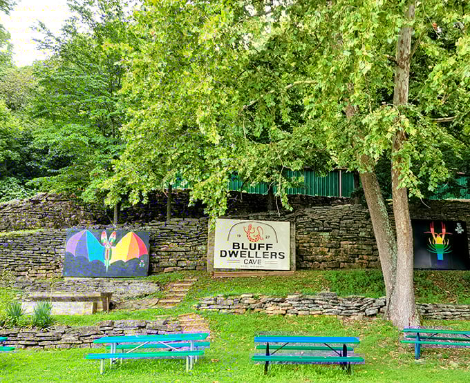 After your subterranean adventure, these cheerful blue picnic tables offer the perfect spot to readjust to sunlight and share your cave tales.
